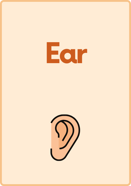 What Starts with Letter E Words Worksheets Printable PDF