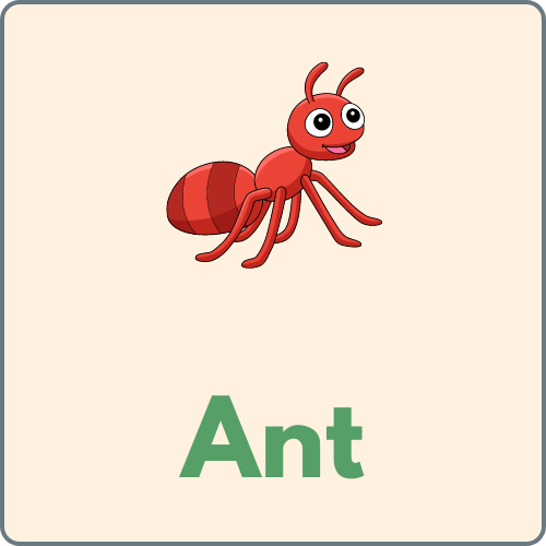 A Letter Words Memory Game | Tutorified : Tutoring & Free Practice ...