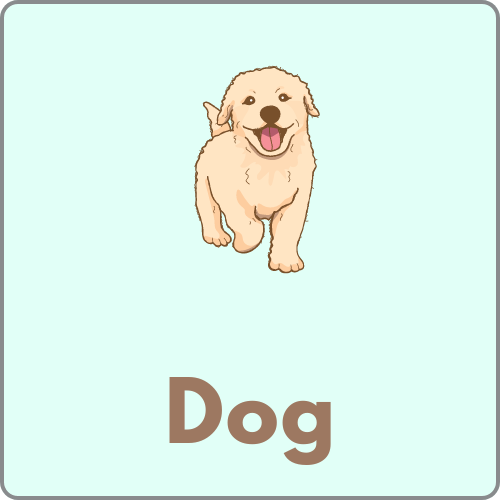 D Letter Words Memory Game | Tutorified : Tutoring & Free Practice ...