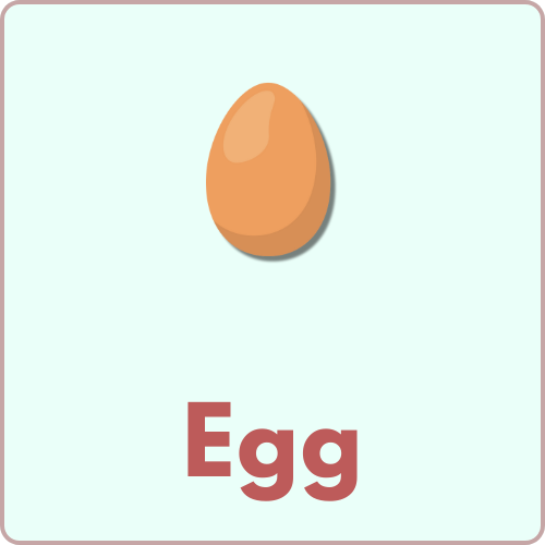 E Letter Words Memory Game | Tutorified : Tutoring & Free Practice ...