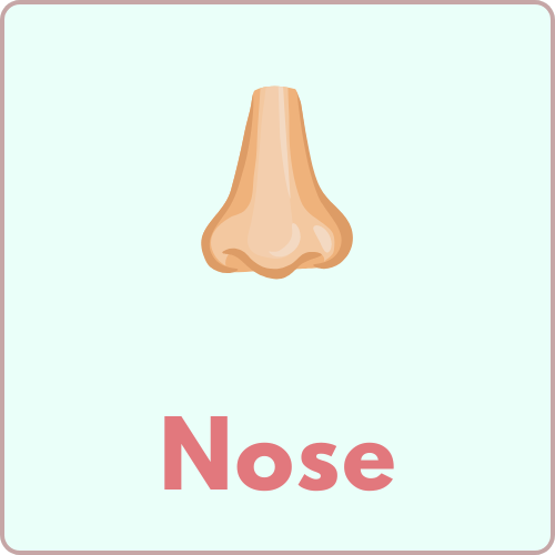 N Letter Words Memory Game | Tutorified : Tutoring & Free Practice ...