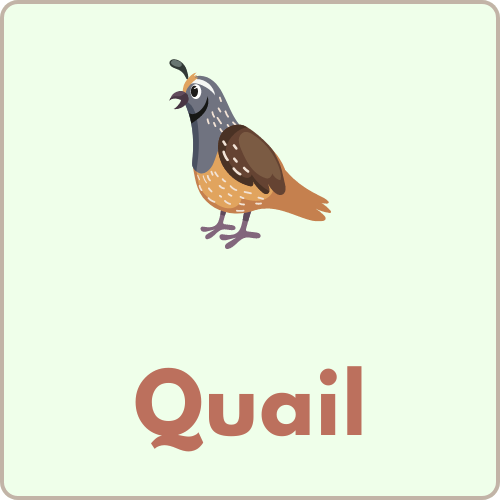 Q Letter Words Memory Game | Tutorified : Tutoring & Free Practice ...