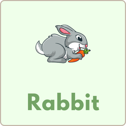 R Letter Words Memory Game | Tutorified : Tutoring & Free Practice ...