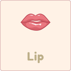 Sit, Pit, Lip, Hip and More | Tutorified : Tutoring & Free Practice ...