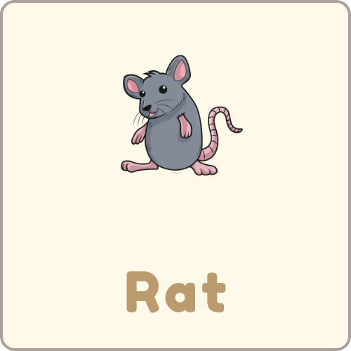 Sit, Pit, Lip, Hip and More | Tutorified : Tutoring & Free Practice ...