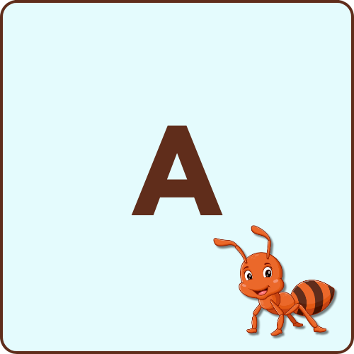 Arrange Letters in Order to Form Simple A Letter Words