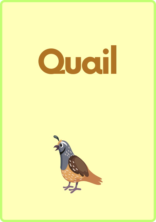 Consonant Digraphs QU Sound Words with Pictures Worksheet PDF