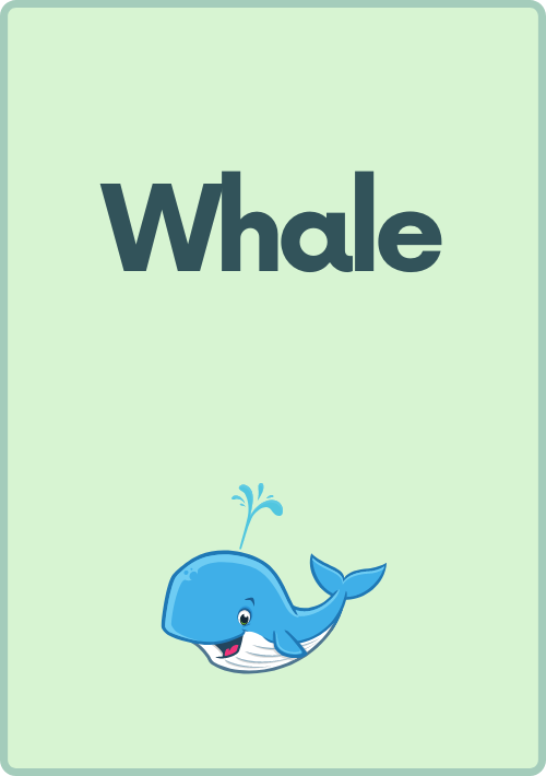 Consonant Digraphs WH Sound Words with Pictures Worksheet PDF