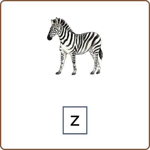 Free Beginning Z Letter Words with Pictures Flashcards Worksheets